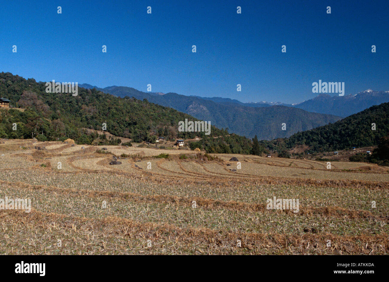 Bhutan Terraced Farming Valley High Resolution Stock Photography and ...