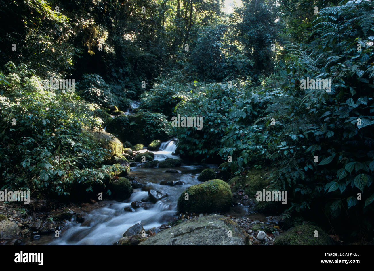 Scenic and serene view of waterfalls, Bhutan Stock Photo - Alamy