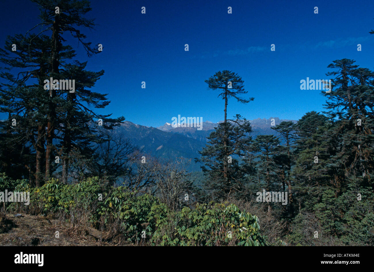 A scenery in Bhutan Stock Photo - Alamy