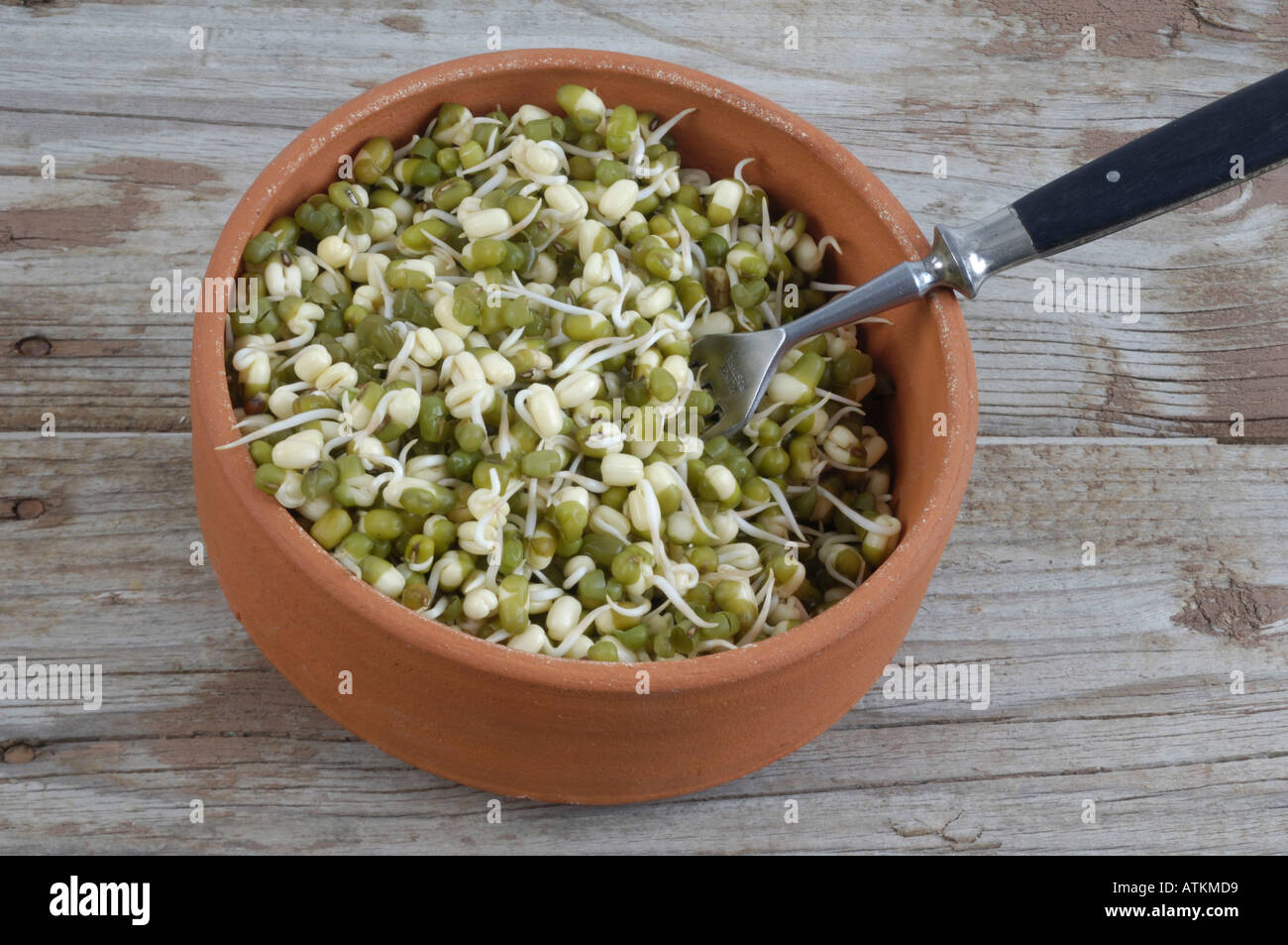 Phaseolus mungo hi-res stock photography and images - Alamy