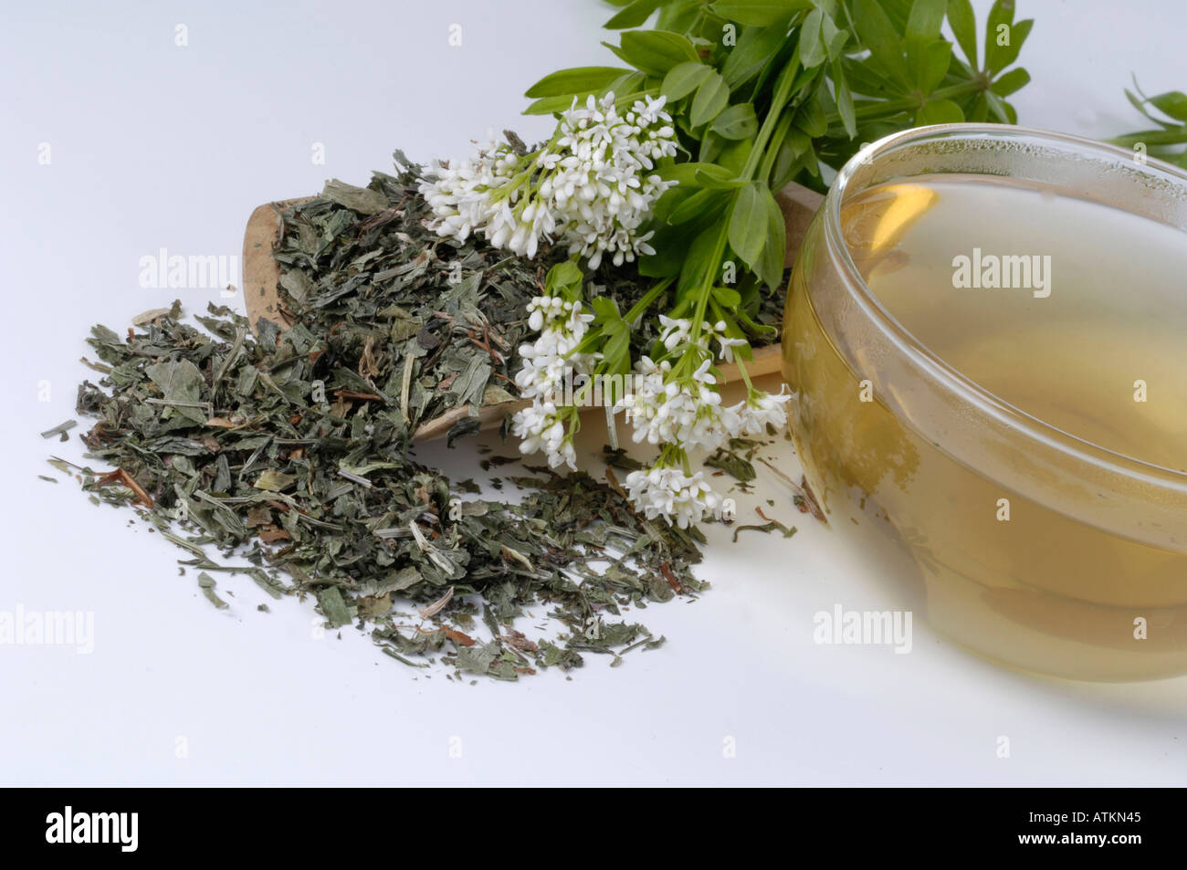 Woodruff tea hi-res stock photography and images - Alamy