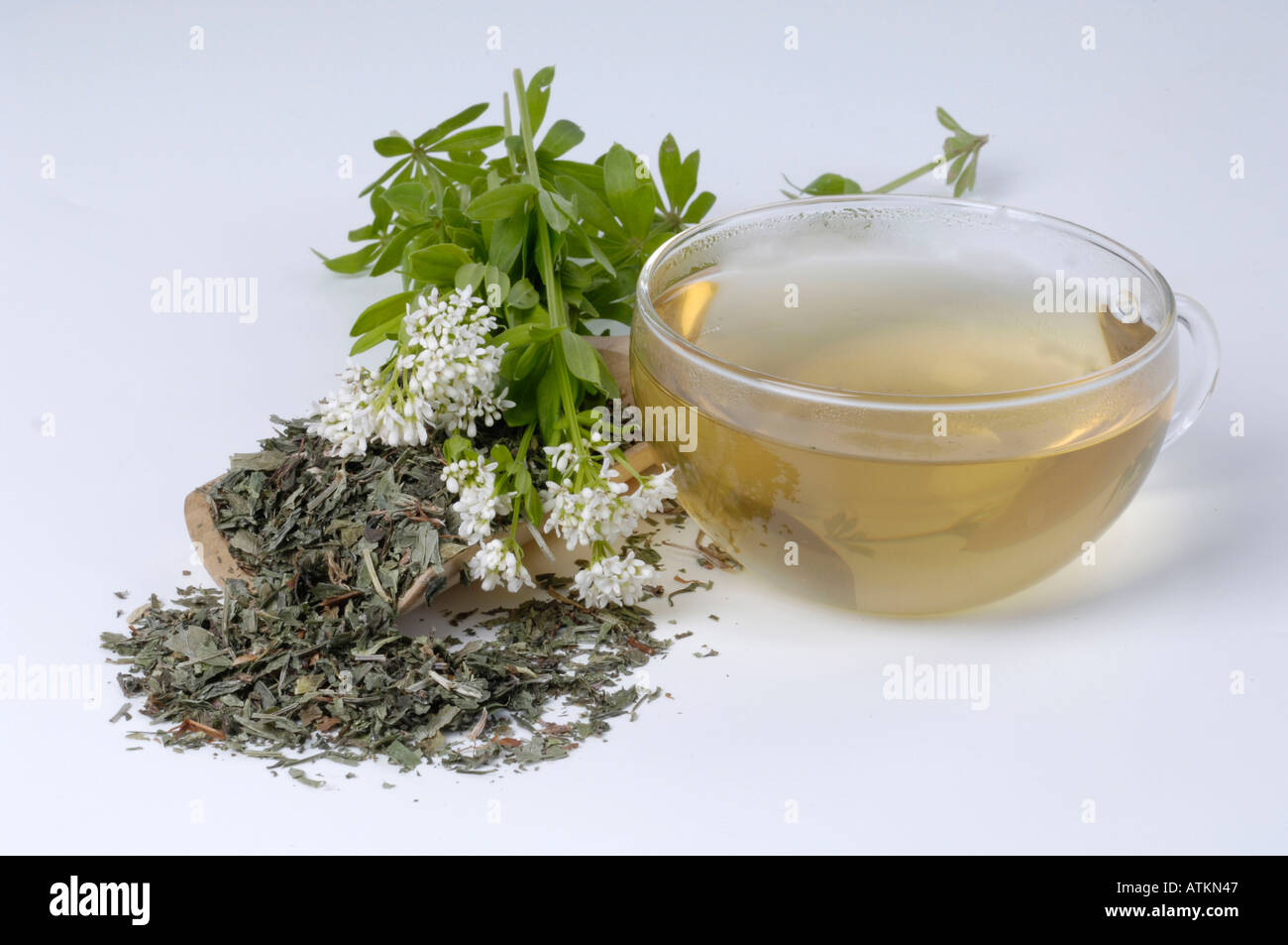 Woodruff tea hi-res stock photography and images - Alamy