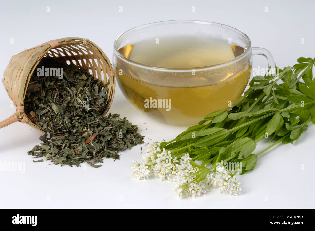 Woodruff tea hi-res stock photography and images - Alamy