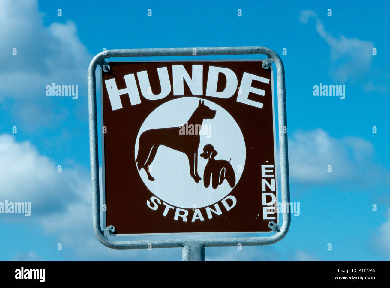 Dog beach sign hi-res stock photography and images - Alamy