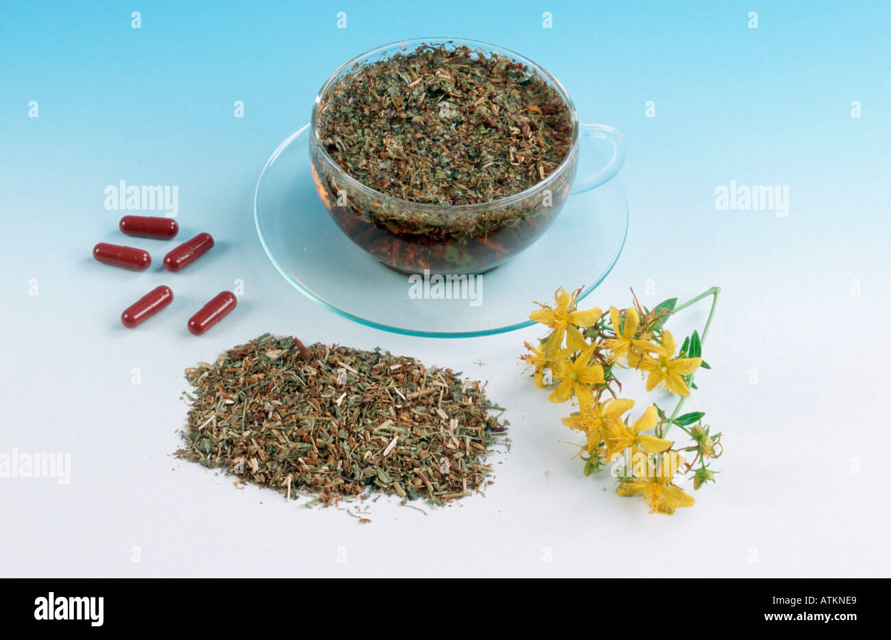 Dried hypericum perforatum perforate hi-res stock photography and ...
