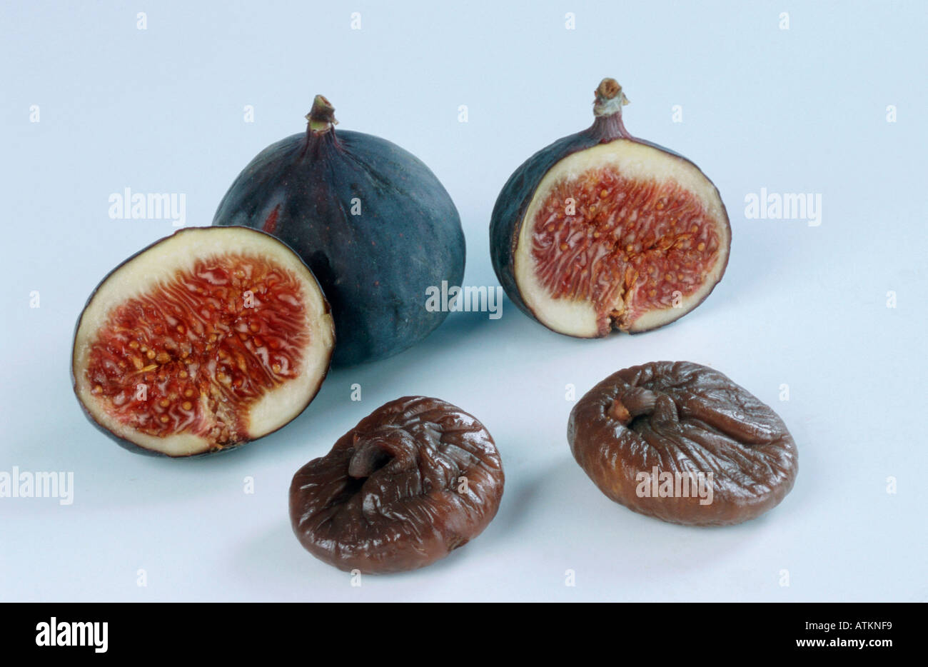 The fig hi-res stock photography and images - Alamy