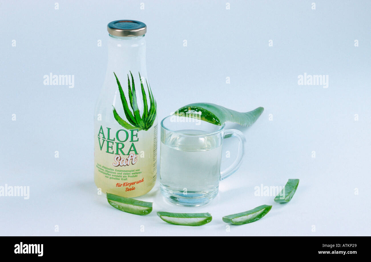 Aloe Vera / Medicinal Aloe Stock Photo - Alamy