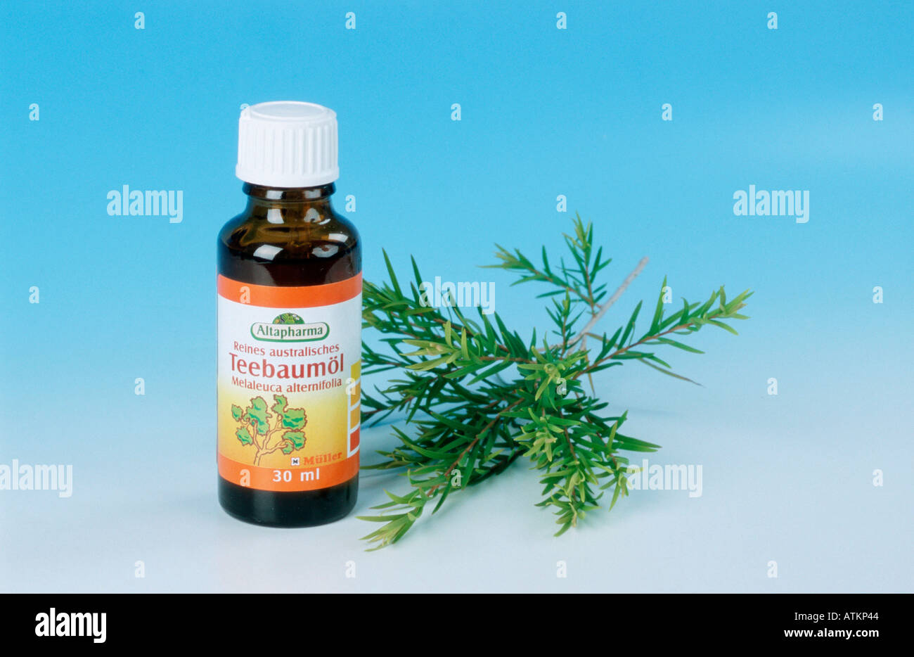 Australian tea hi-res stock photography and images - Alamy