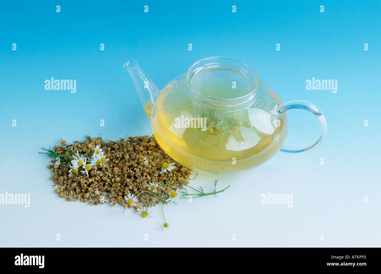 Camomile tea cut out hi-res stock photography and images - Alamy