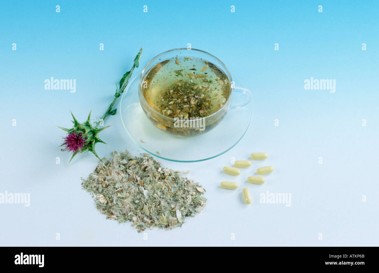 Cup of milk thistle tea hi-res stock photography and images - Alamy