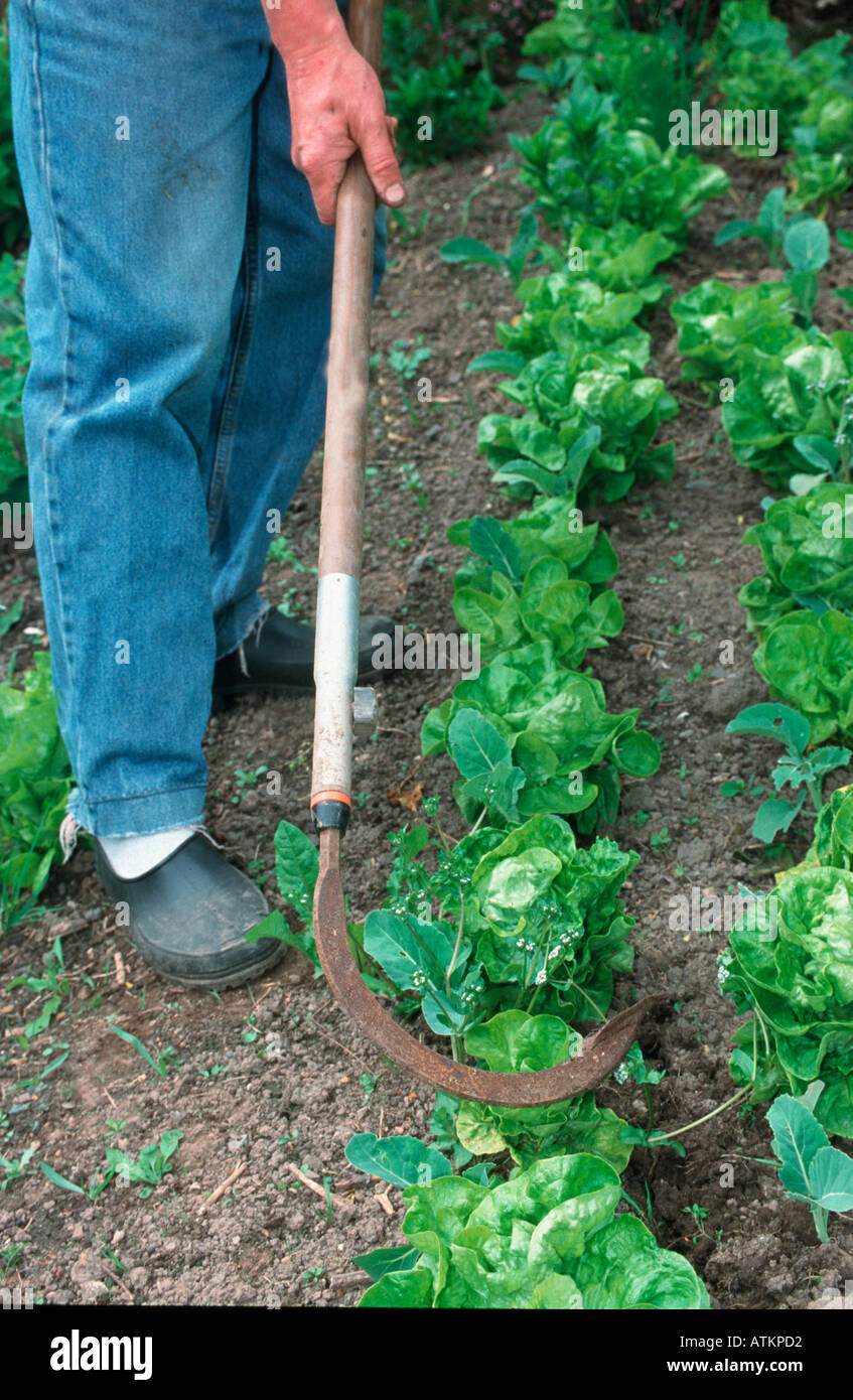 Upright tool hi-res stock photography and images - Alamy