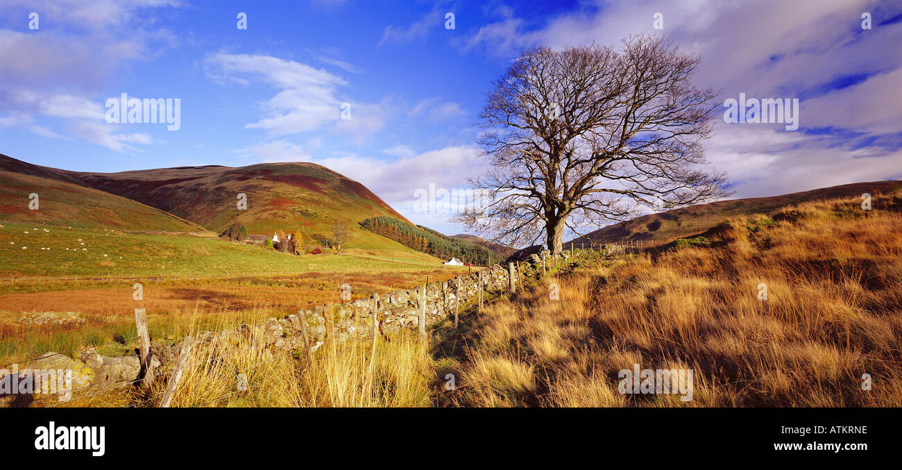 Glendevon Perthshire Scotland High Resolution Stock Photography and ...