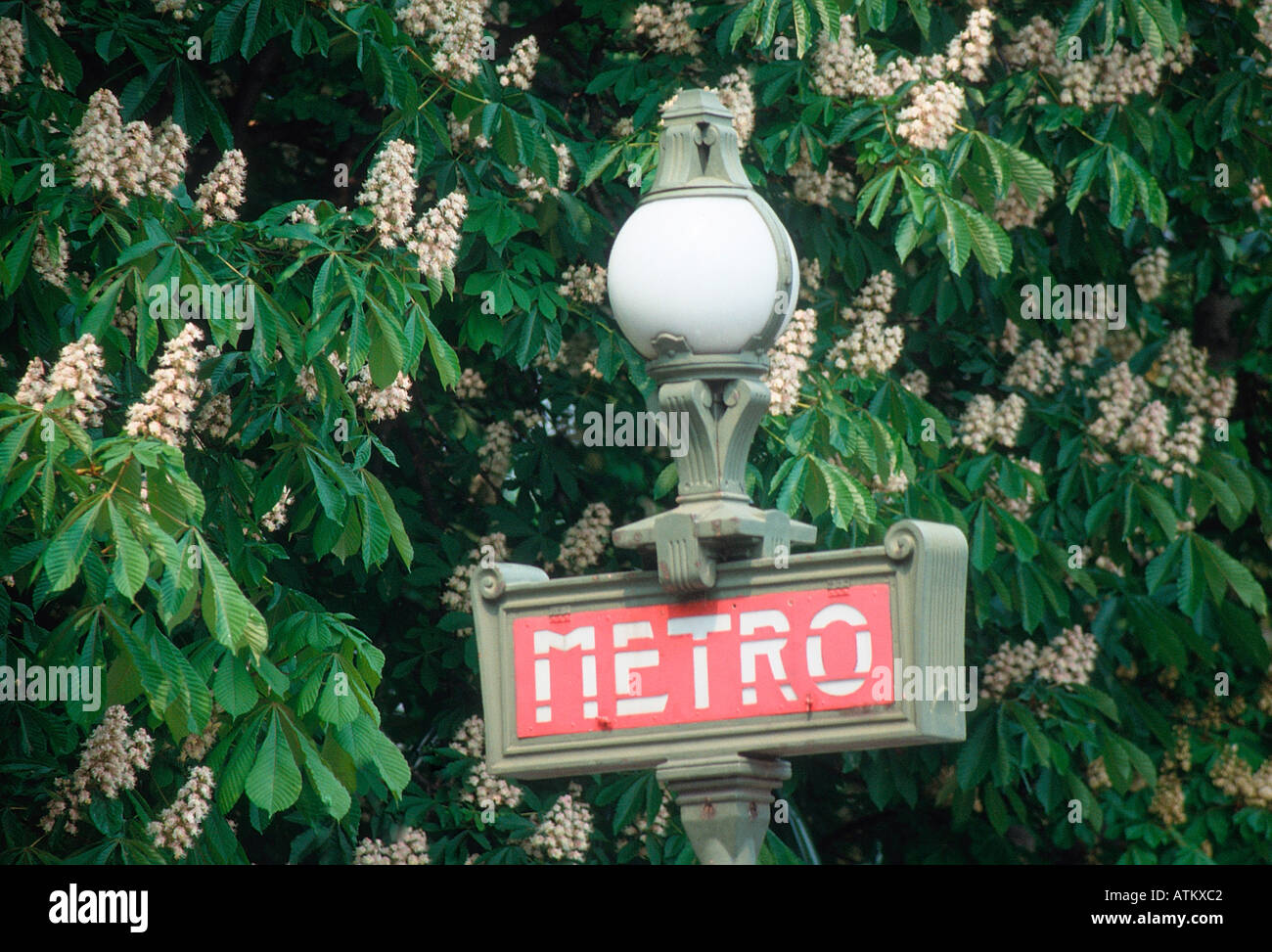 Sign of metro station / Paris Stock Photo - Alamy
