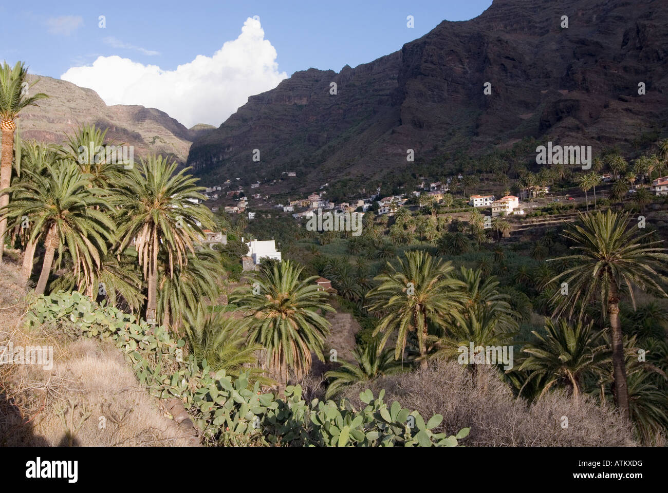 The valley of Valle Gran Rey La Gomera Stock Photo - Alamy