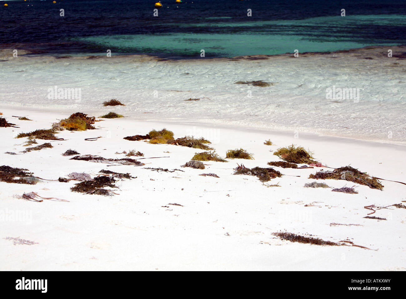 Beach and ocean at Salmon Bay,Rottnest Island,western australia Stock ...