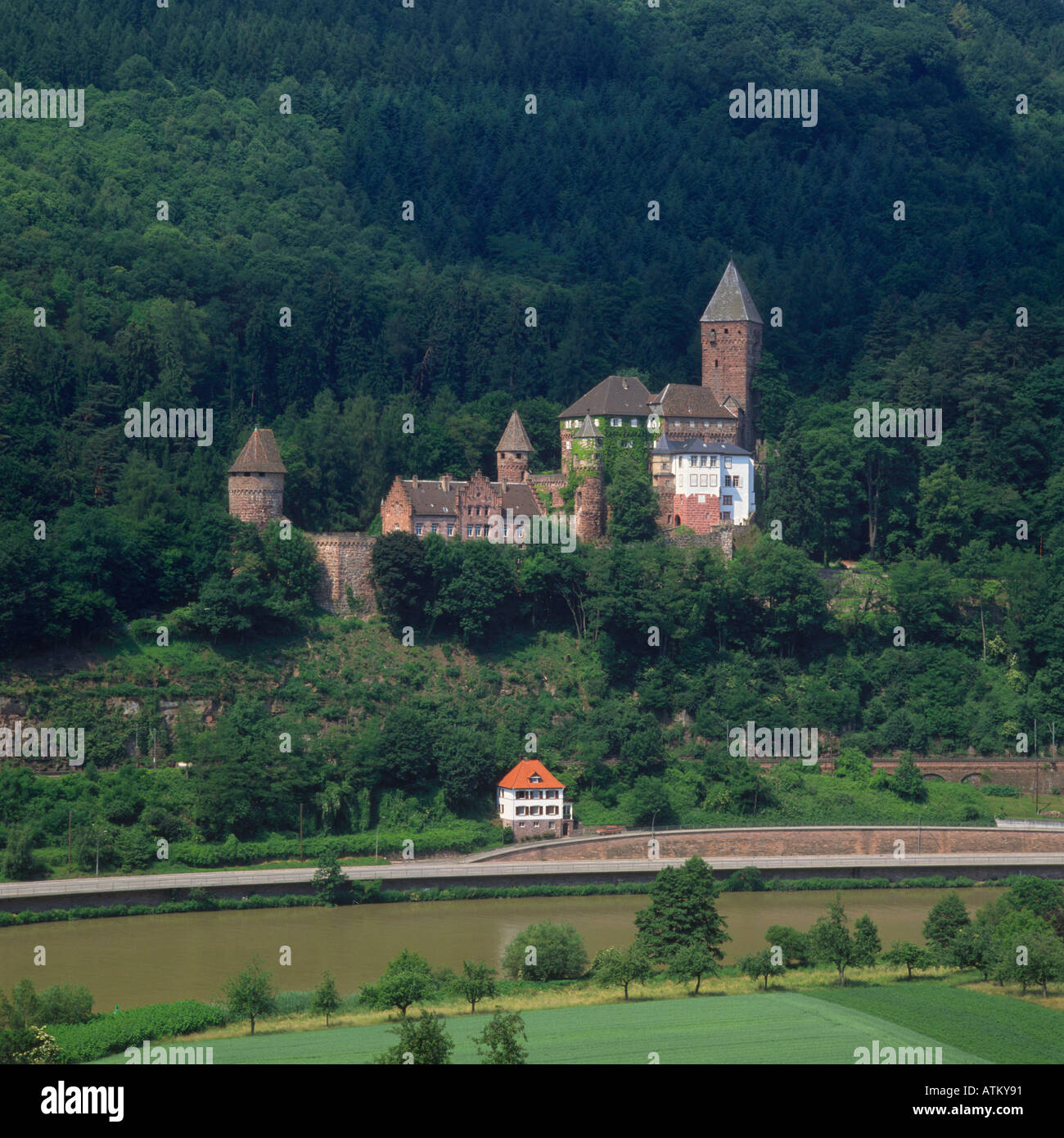 Zwingenberg castle and neckar hi-res stock photography and images - Alamy