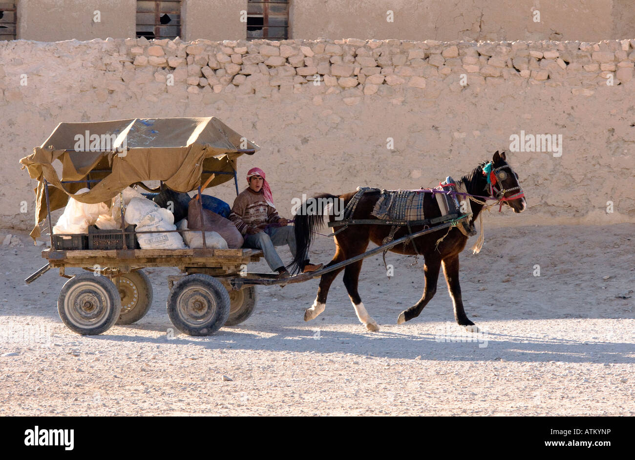 A cart pulled by a donkey Stock Photo - Alamy