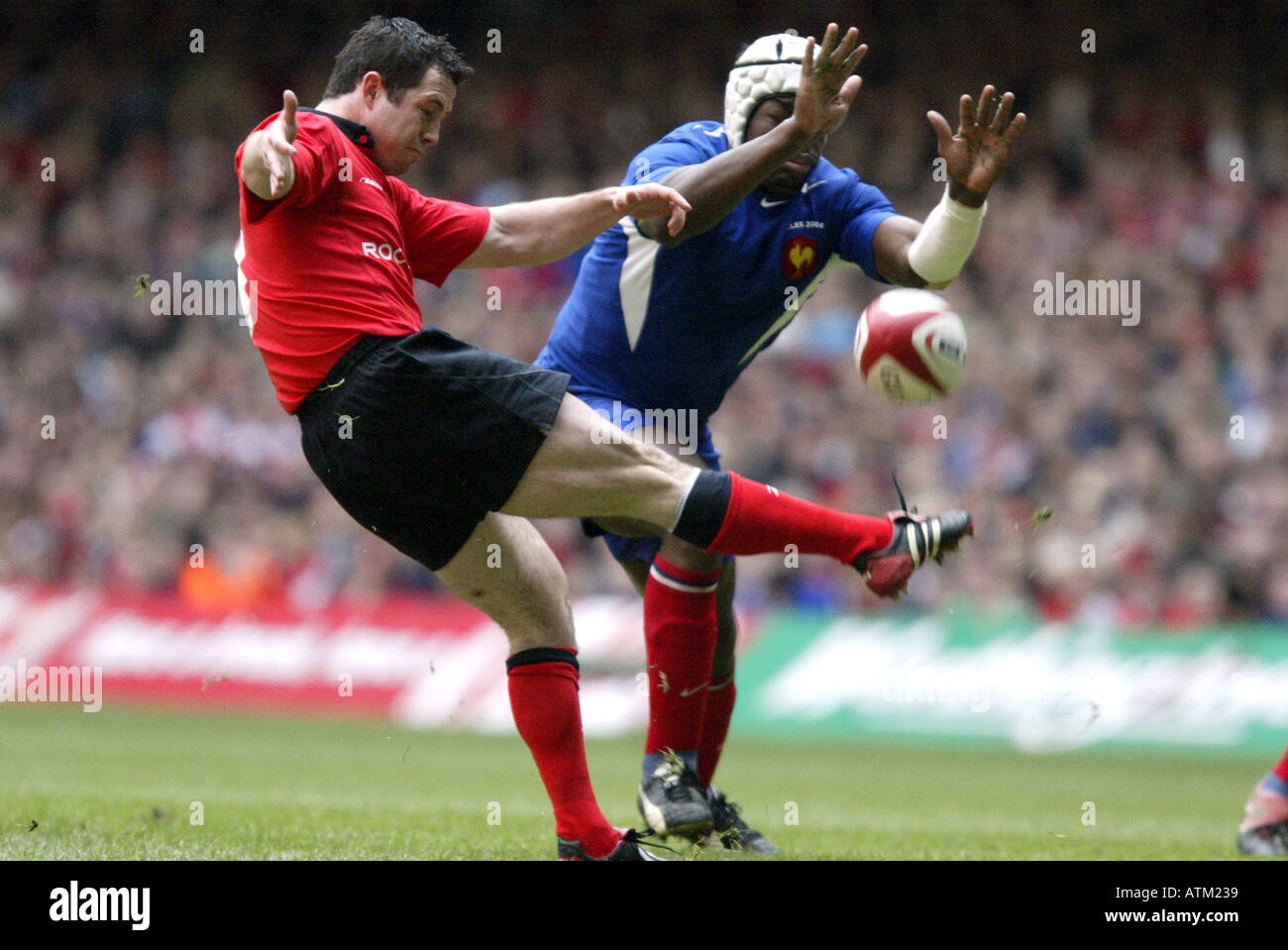 Scrum half under pressure hi-res stock photography and images - Alamy