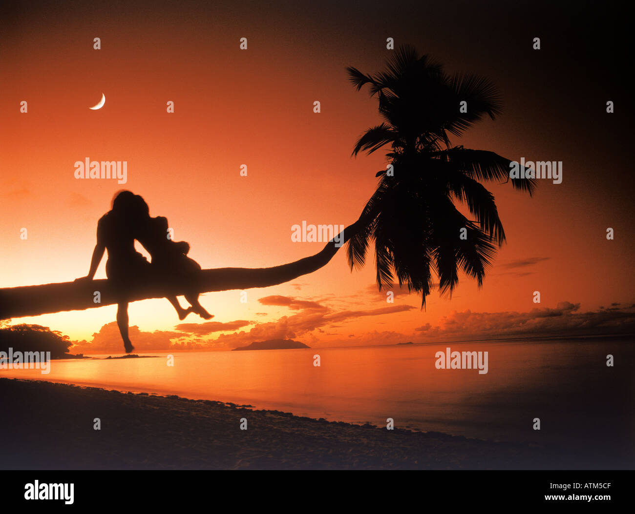 Sitting Under Palm Tree