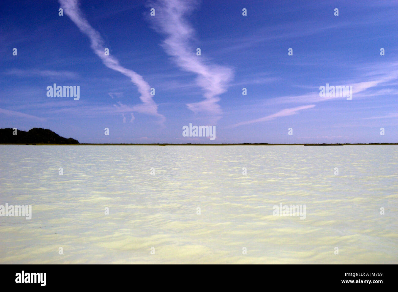 Alaskan ecosystems hi-res stock photography and images - Alamy