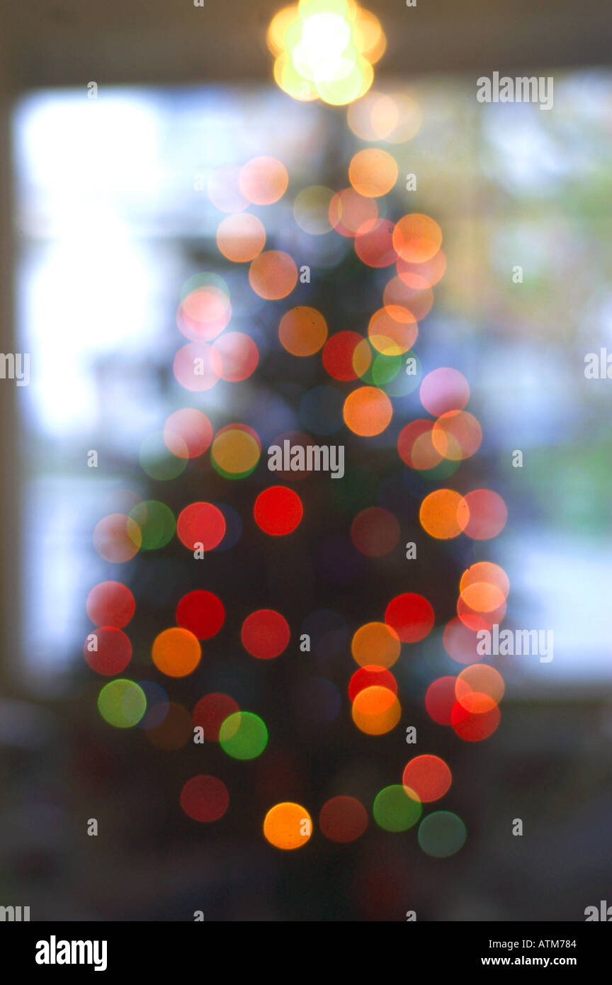 Christmas tree in window Stock Photo - Alamy