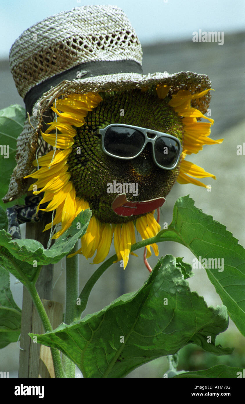 Old Lady Puppet High Resolution Stock Photography and Images - Alamy