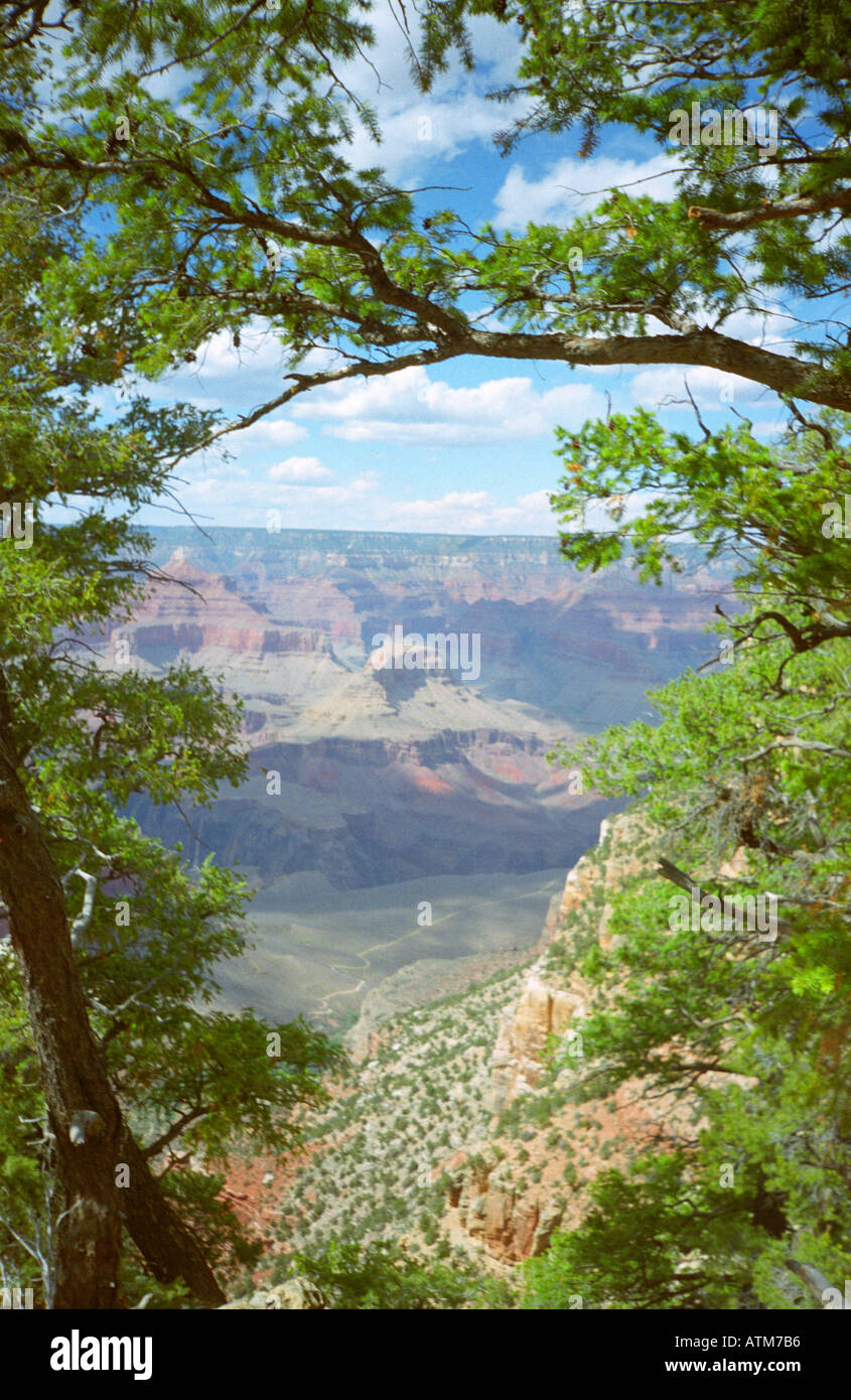 The Grand Canyon USA summer 2003 Stock Photo - Alamy