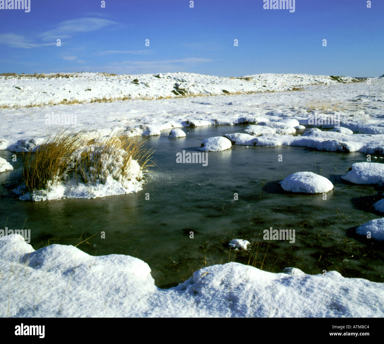 frozen pool aberdare country park south wales valleys Stock Photo - Alamy