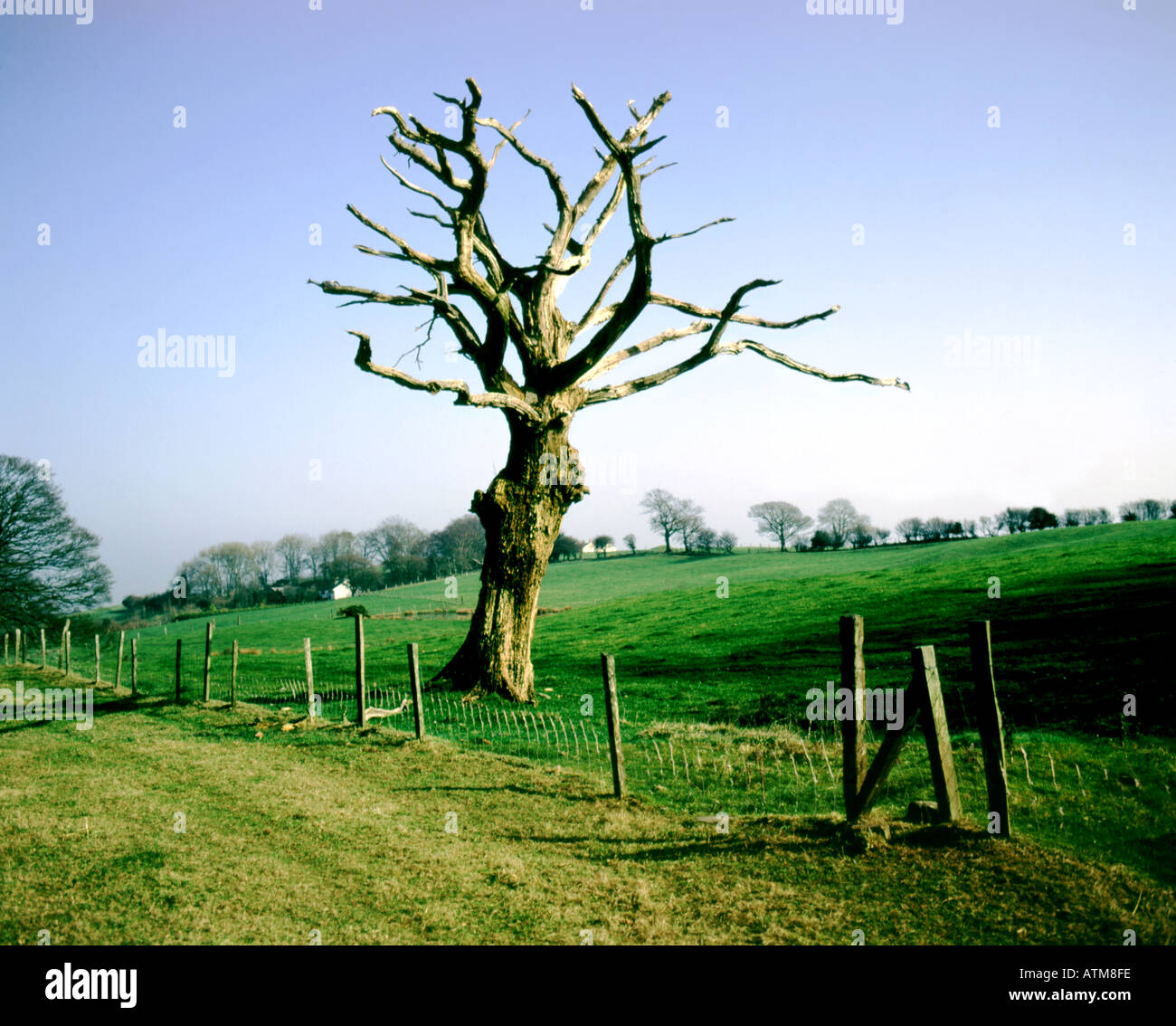 Bonvilston hi-res stock photography and images - Alamy