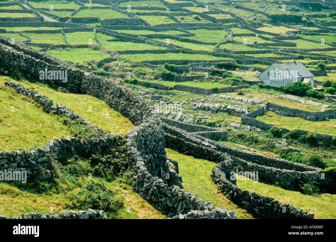 Stone walls of Inisheer Aran Islands Stock Photo - Alamy