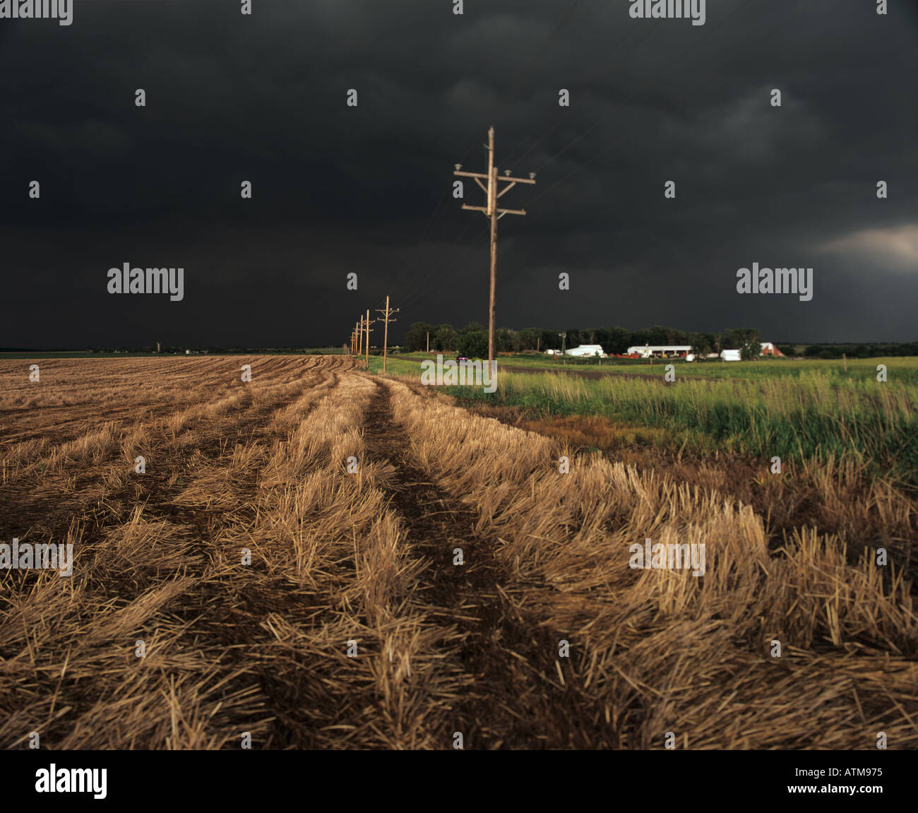 Black skies over telegraph poles and farm buildings after a tornadic ...