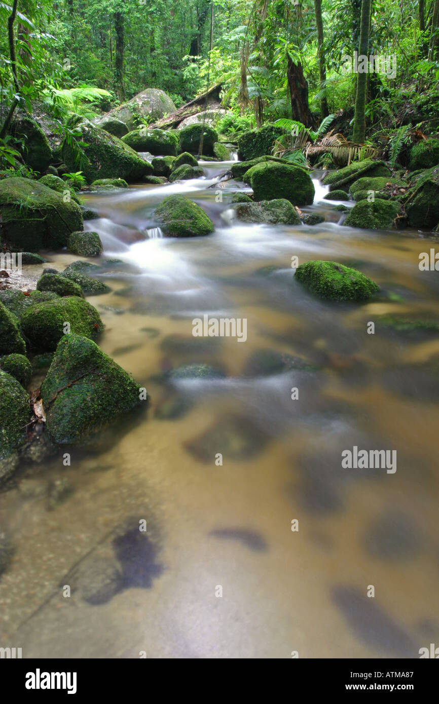 A beautiful tropical rainforest stream in the world famous Mossman ...