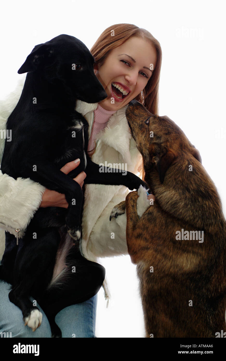 Woman with two dogs hi-res stock photography and images - Alamy