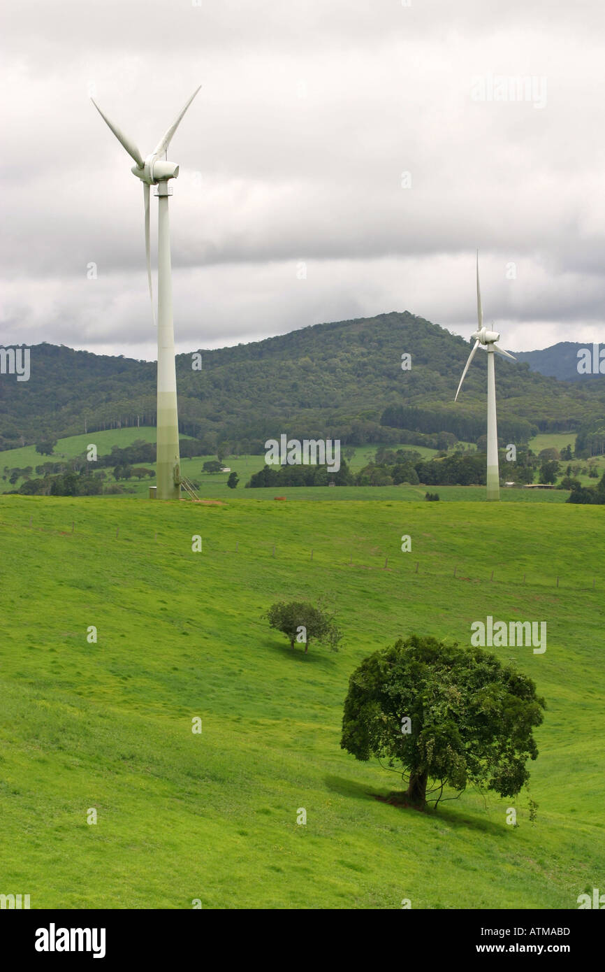 Eco windmills produce environment friendly sustainable electricity in ...