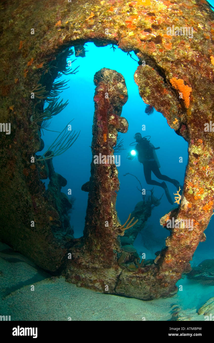 Scuba diver shipwreck caribbean underwater explore statia st statius hi ...