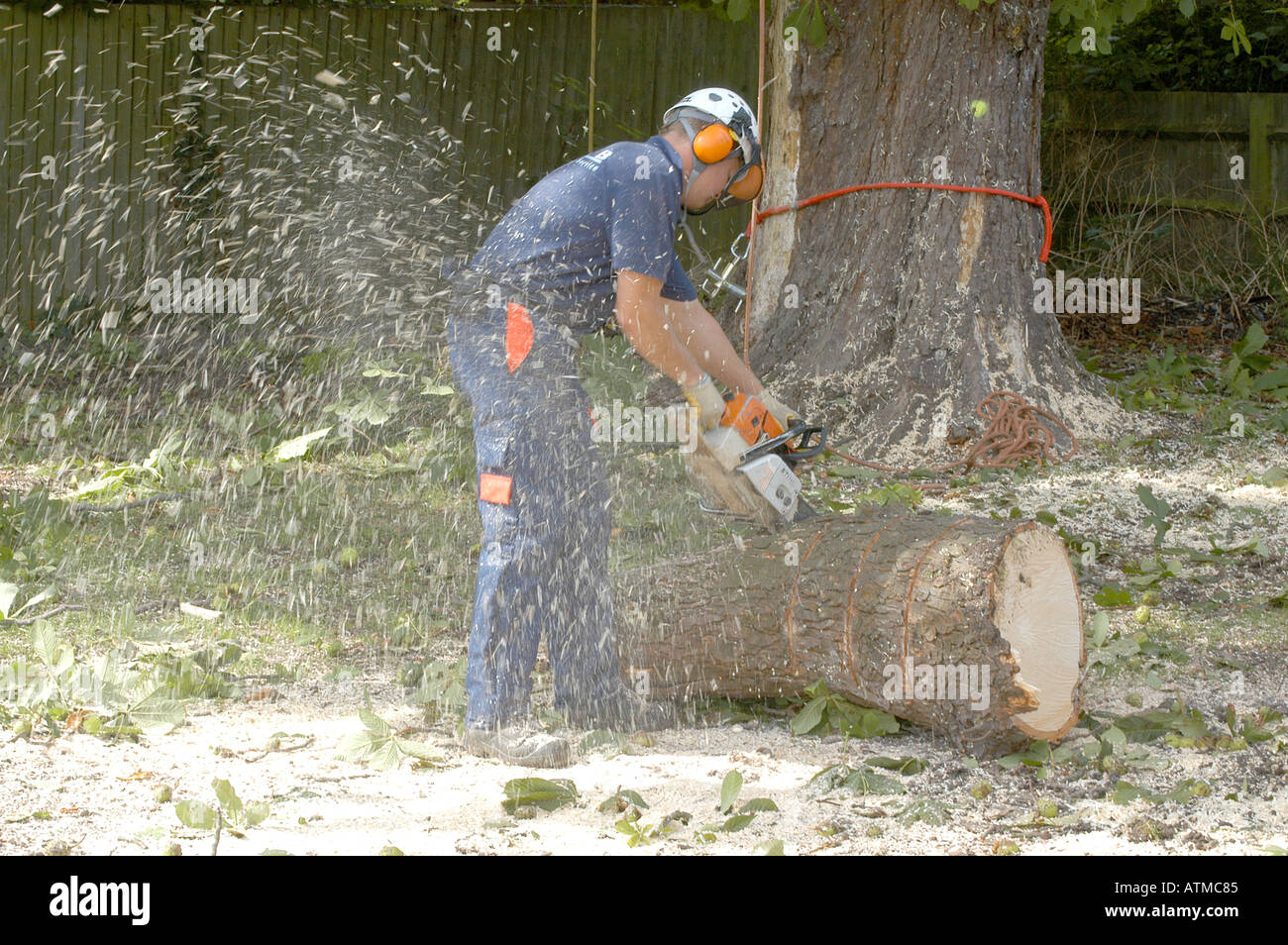 Wooded cutting hi-res stock photography and images - Alamy