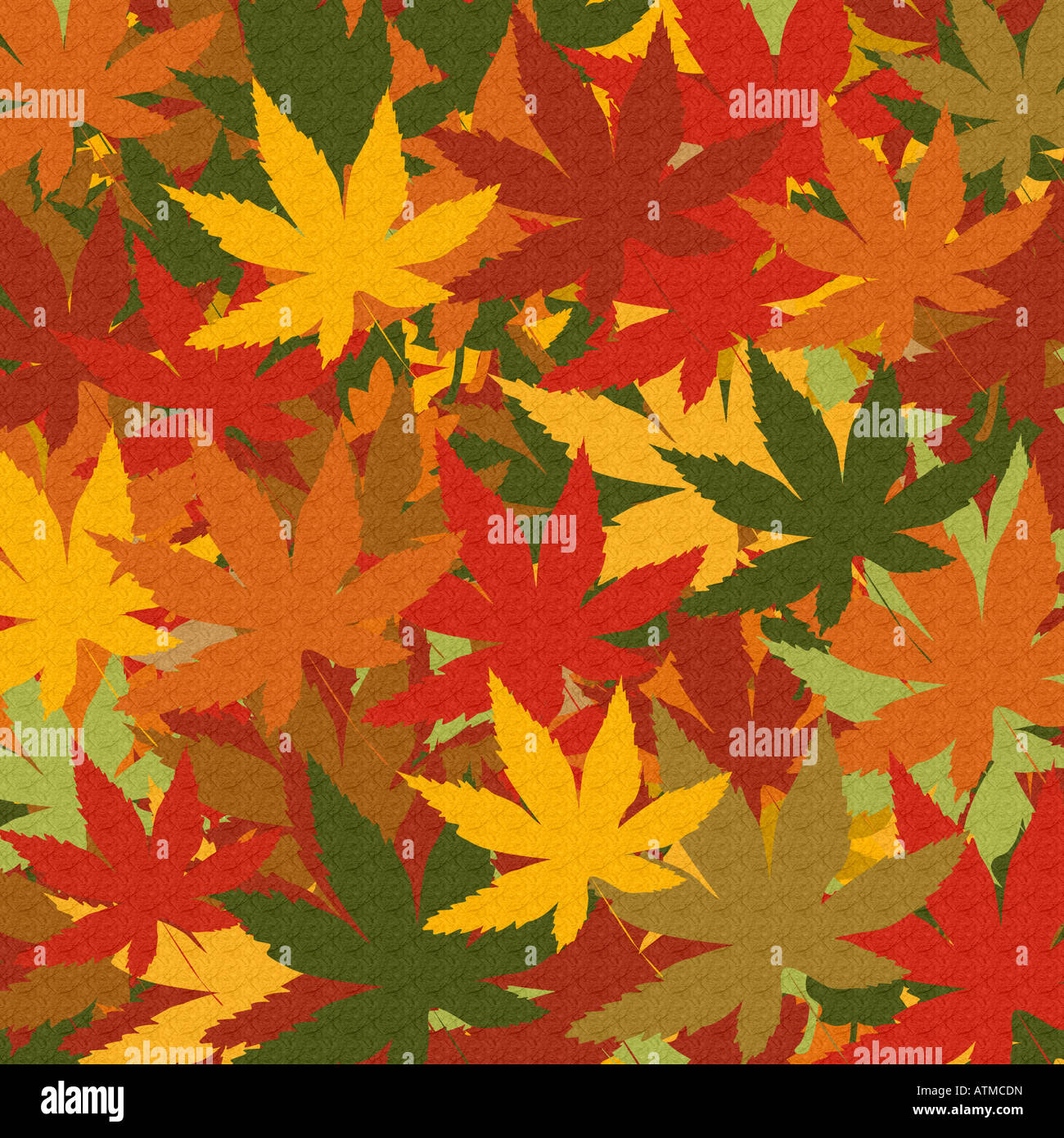Random leaves hi-res stock photography and images - Alamy