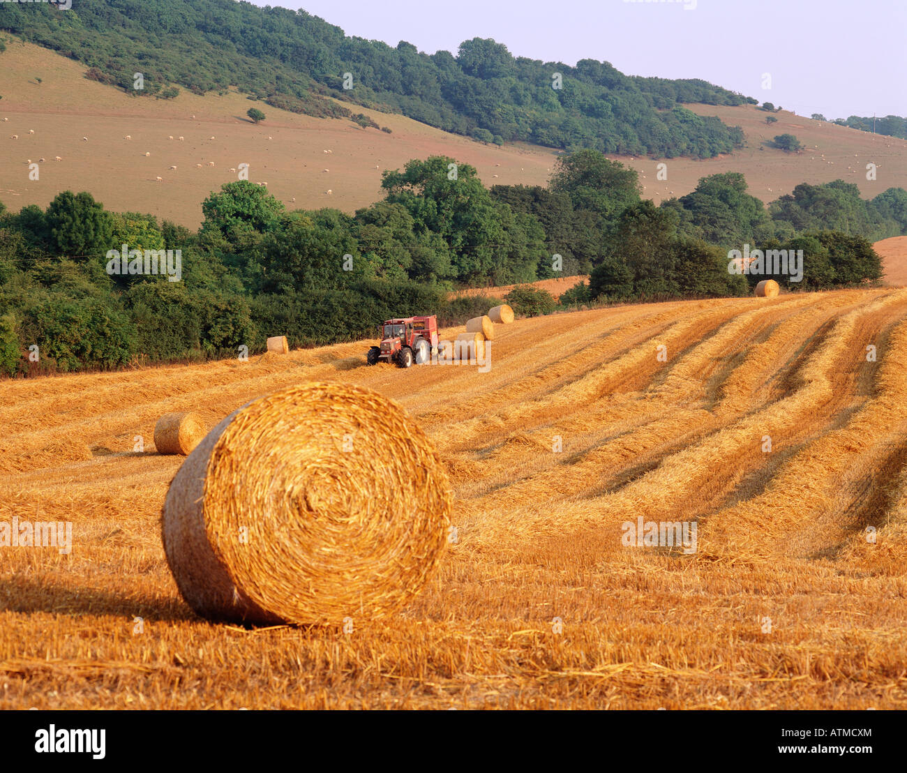 Alkham autumn hi-res stock photography and images - Alamy