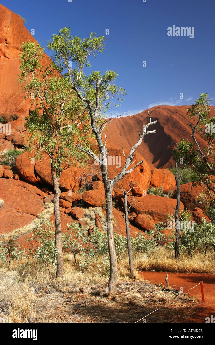 Peoples walk around famous red hi-res stock photography and images - Alamy