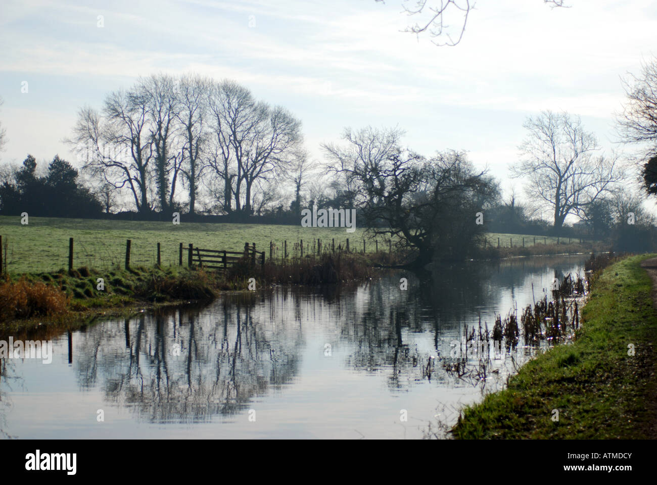 Trees reflected in the still waters of the Grand Western Canal between ...