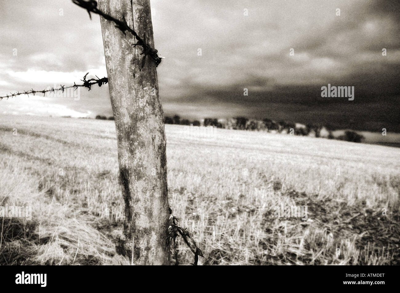 fencepost in a field Stock Photo - Alamy