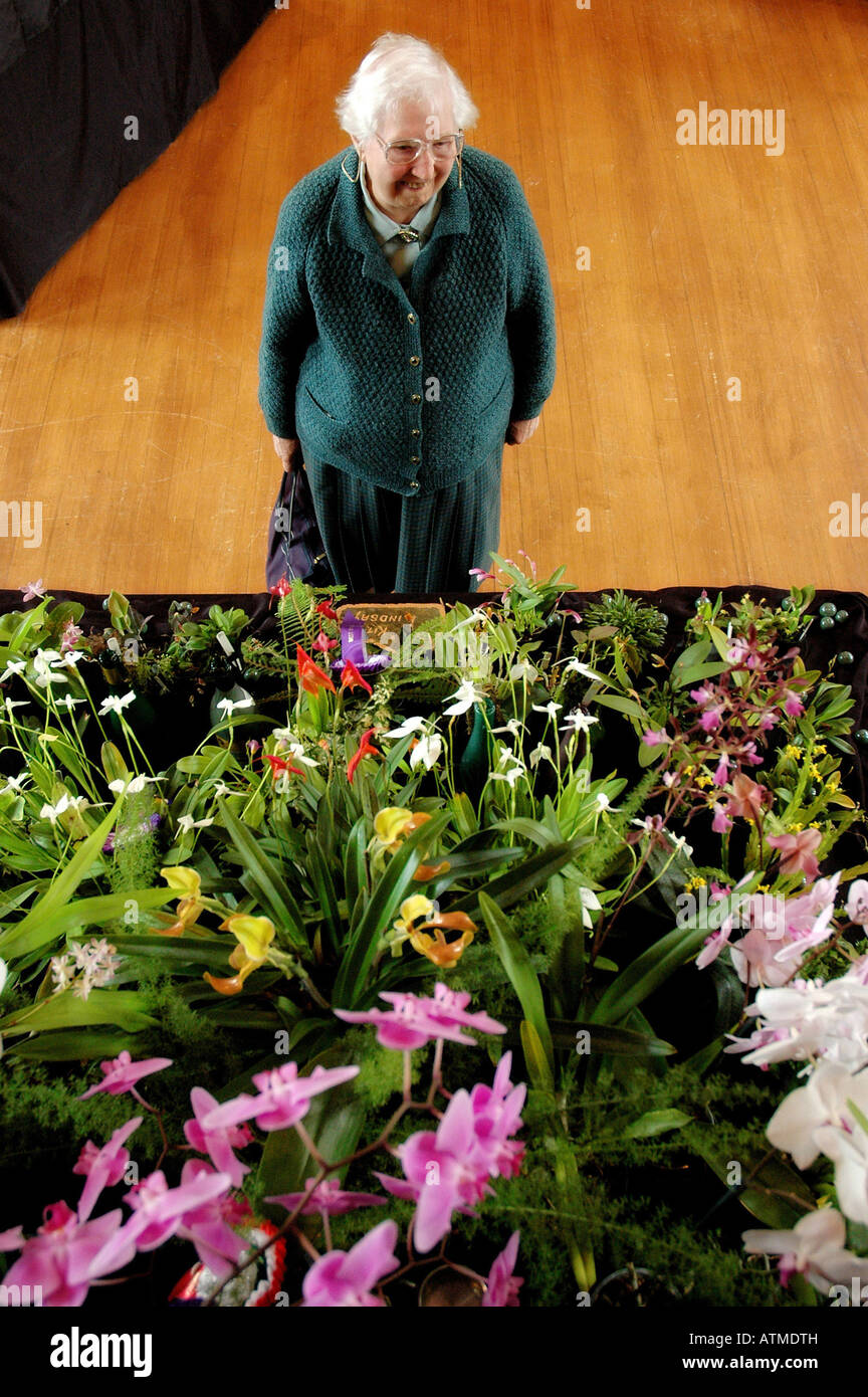 pic martin phelps 28 05 05 devizes corn exchange orchid show Stock ...