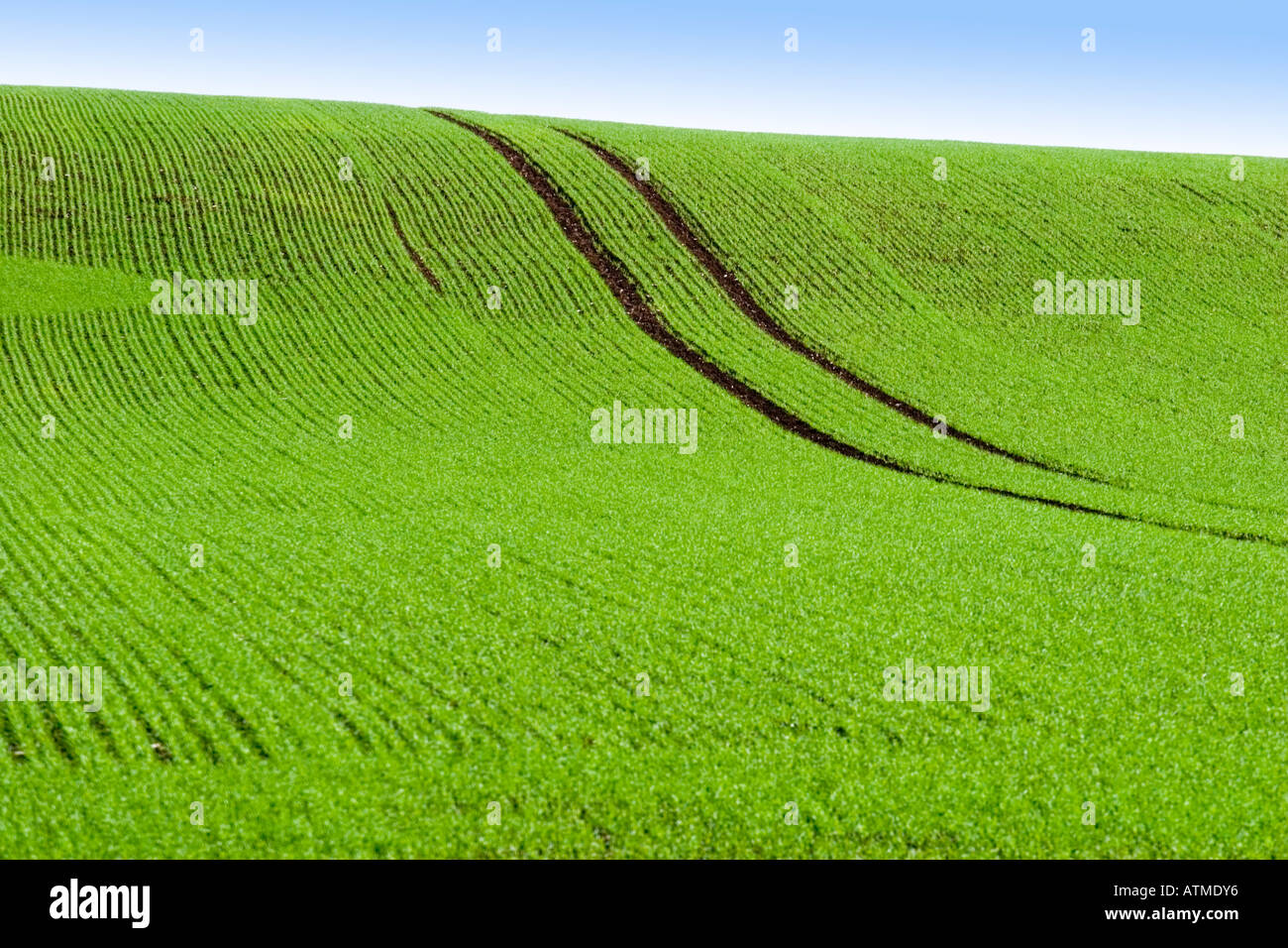 Visible lines hi-res stock photography and images - Alamy