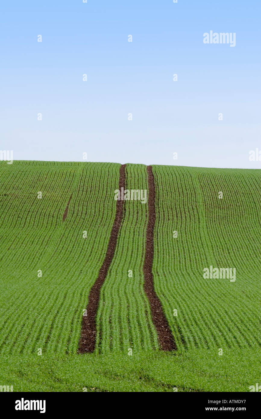 Single furrow plough hi-res stock photography and images - Alamy