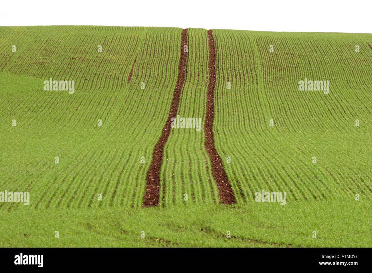 FIELD NEWLY SOWN WITH PLOUGH LINES VISIBLE Stock Photo - Alamy