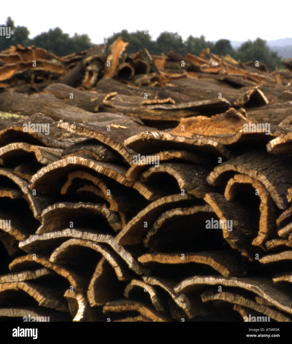 cork bark tree industry rural wine graphic texture Stock Photo - Alamy