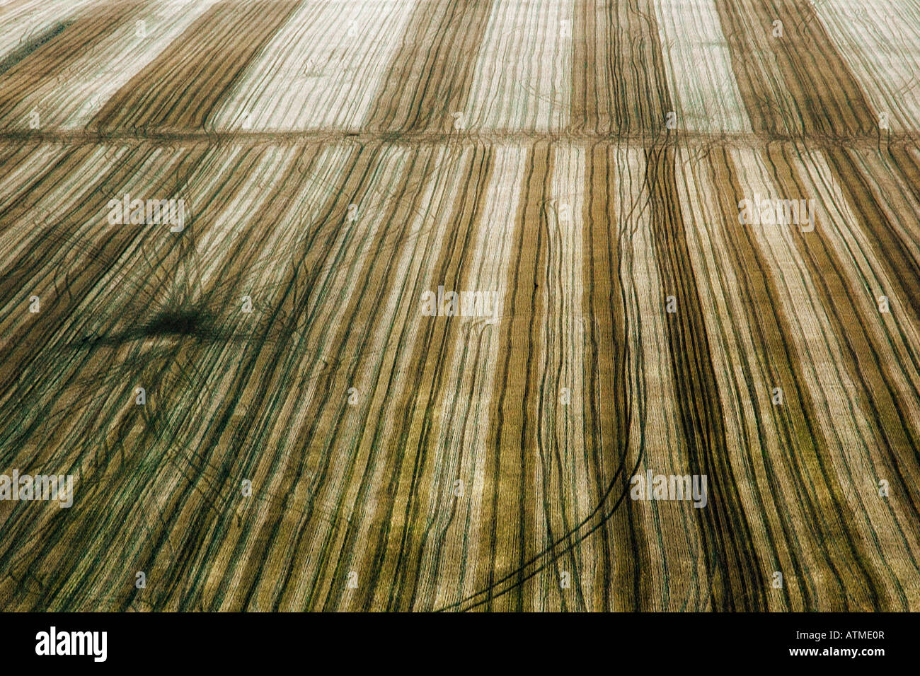 field from above Stock Photo - Alamy