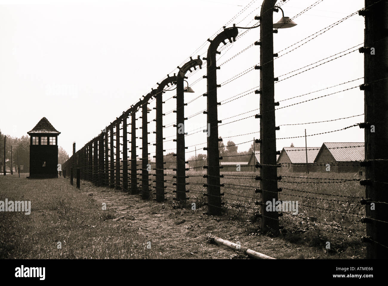 Barbed wire fence at Auschwitz Stock Photo - Alamy
