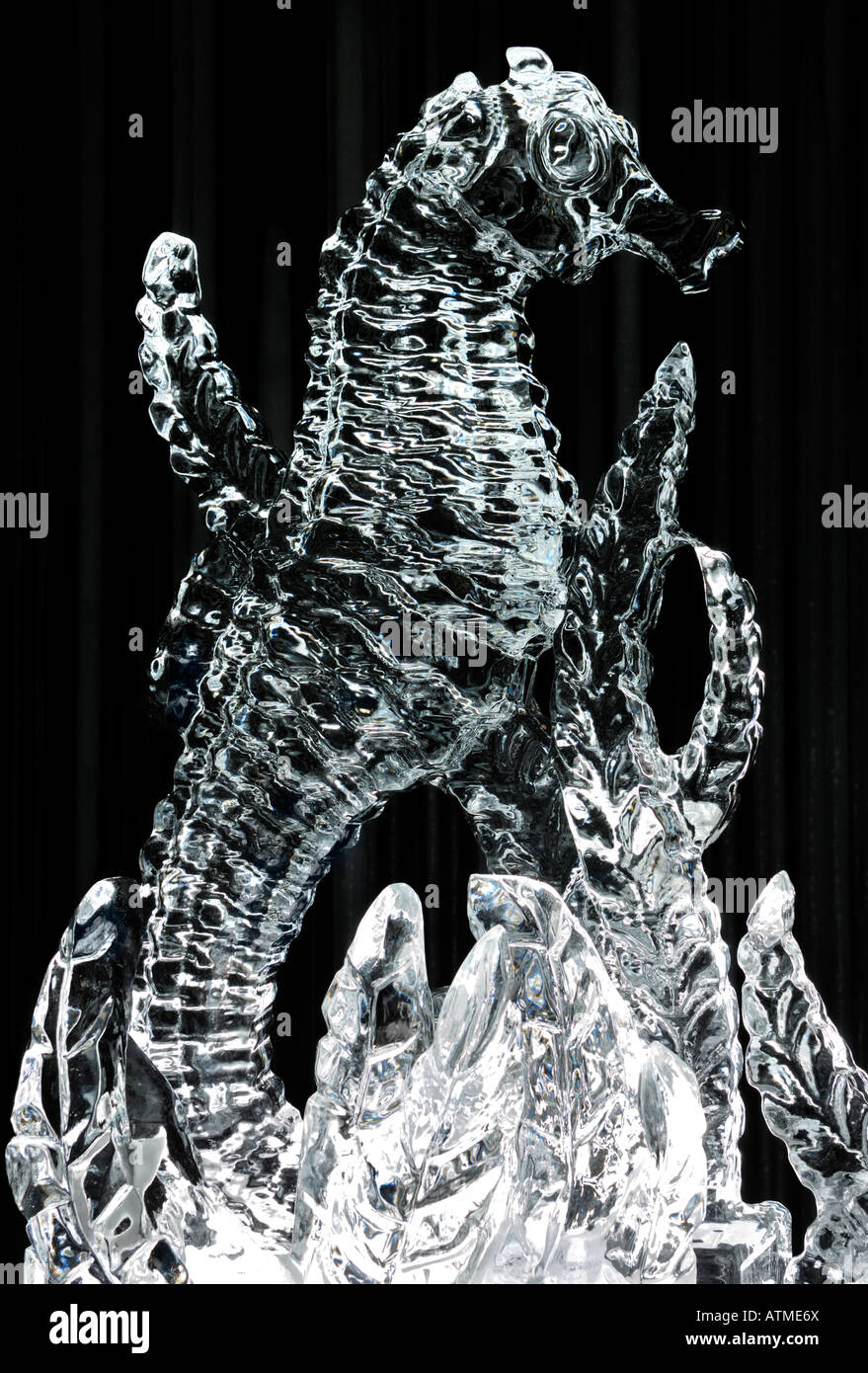 Hippocampus sculpture hi-res stock photography and images - Alamy