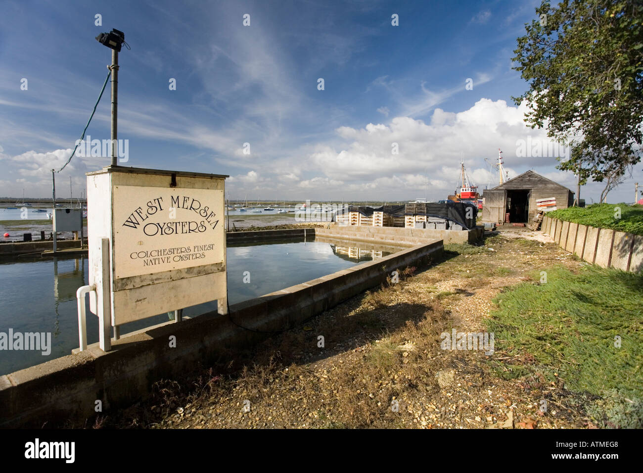 The company shed mersea hi-res stock photography and images - Alamy